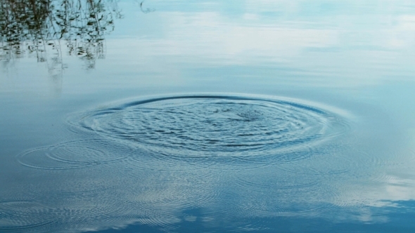 Throw a Stone Into a Lake. Ripple Circle On Lake, Stock Footage | VideoHive