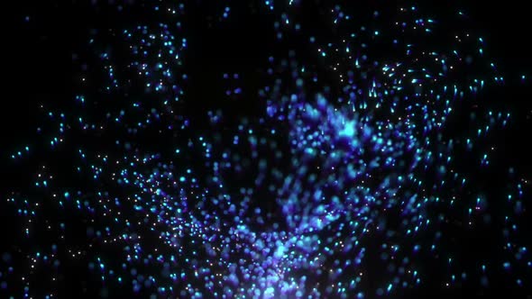 Coral Particles, Motion Graphics | VideoHive