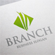 Branch Logo, Logo Templates | GraphicRiver