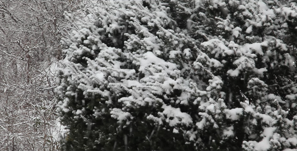 Snow Day 02 HD, Stock Footage | VideoHive