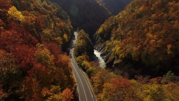 Flying Above Autumn Forest With Mountain Road, Stock Footage | VideoHive