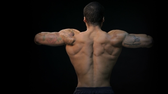 Gorgeous Muscular Bodybuilder Back, Stock Footage | VideoHive