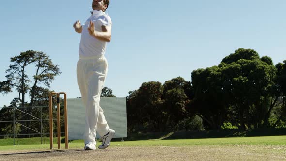 Bowler delivering ball and appealing during cricket match, Stock Footage