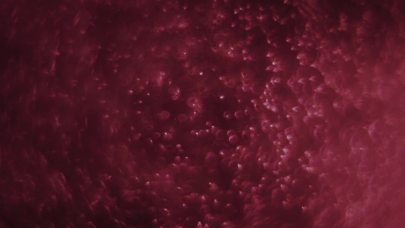 Red Particles Background , Motion Graphics | VideoHive