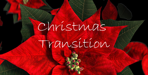 Christmas Transition, Motion Graphics | VideoHive