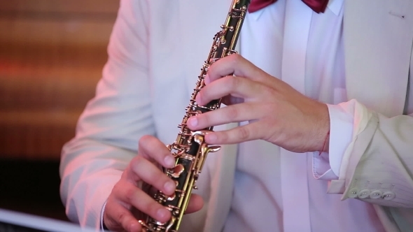 Musician Playing The Oboe, Stock Footage | VideoHive