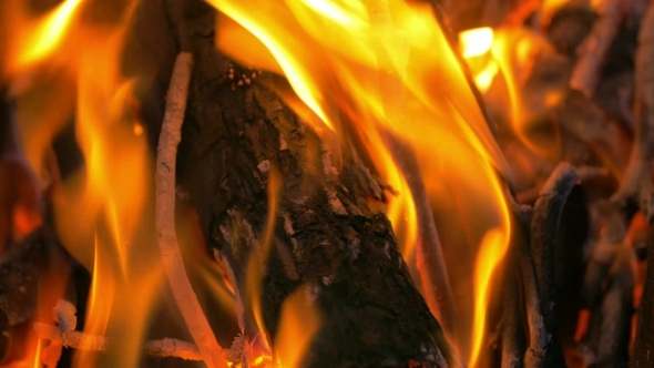 Wooden Log On Fire, Stock Footage | VideoHive