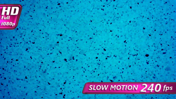 Random Motion of Particles, Stock Footage | VideoHive