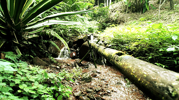 Bamboo Water Feature 24, Stock Footage | VideoHive