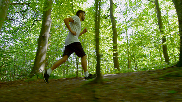Man In Sportswear Running Through Trees, Stock Footage | VideoHive