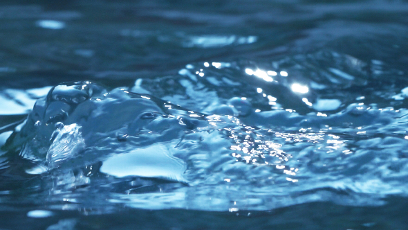 Water, Stock Footage | VideoHive
