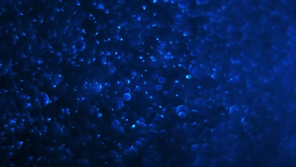 Blue Particles, Motion Graphics | VideoHive