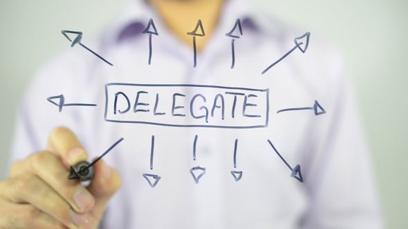 Delegate, Illustration, Stock Footage | VideoHive