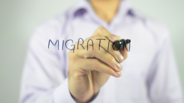 Migration, Stock Footage | VideoHive