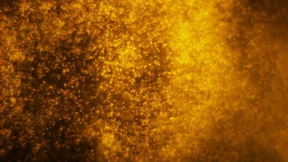 Gold Particles by ZulkarS | VideoHive