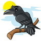 Raven Cartoon, Vectors | GraphicRiver
