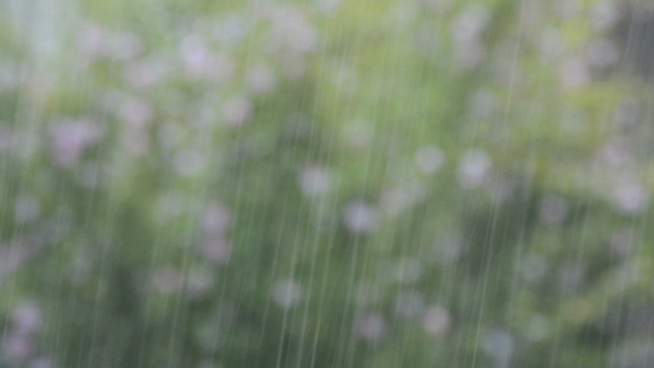 Rain Falling Hard, Stock Footage | VideoHive