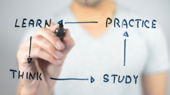 Education cycle, Illustration, Stock Footage | VideoHive