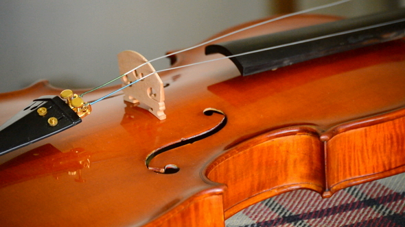 Luthier Repair a Violin or Viola in Workplace, Stock Footage | VideoHive