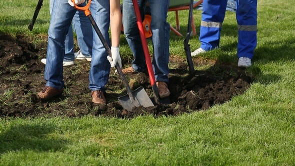 People Dig the Ground, Stock Footage | VideoHive