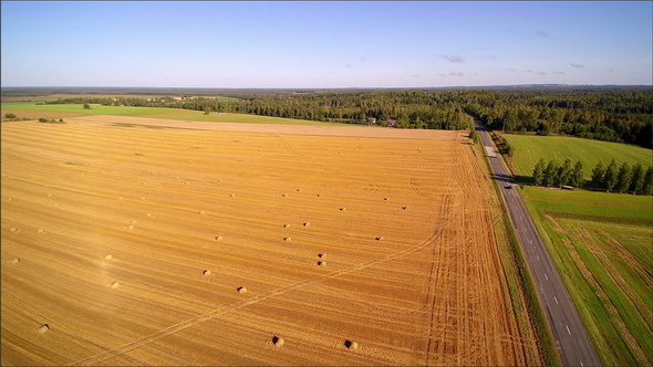 The Very Big Agricultural Land for Crops, Stock Footage | VideoHive