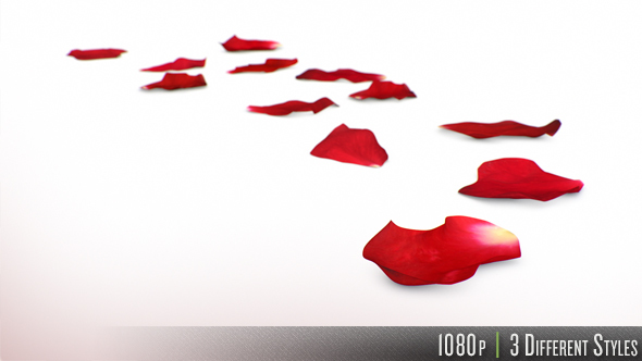 Red Rose Petals, Motion Graphics | VideoHive