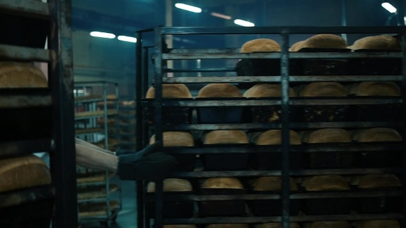 Bread Bakery Food Factory Production, Stock Footage | VideoHive