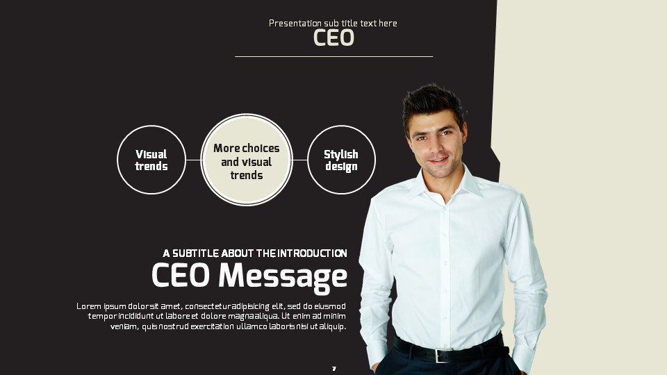The Company Introduction, Presentation Templates | GraphicRiver
