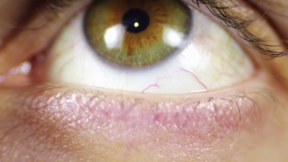 Human Eye Blinks, Stock Footage | VideoHive