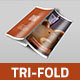 Flat Tri-fold Brochure-02 by SixLock | GraphicRiver