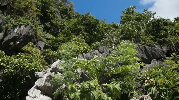 Mountains And Rocks With Jungle, Stock Footage | VideoHive
