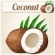 Coconut. Detailed Vector Icon, Vectors | GraphicRiver