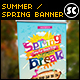 Summer / Spring Break Banner, Print Templates | GraphicRiver