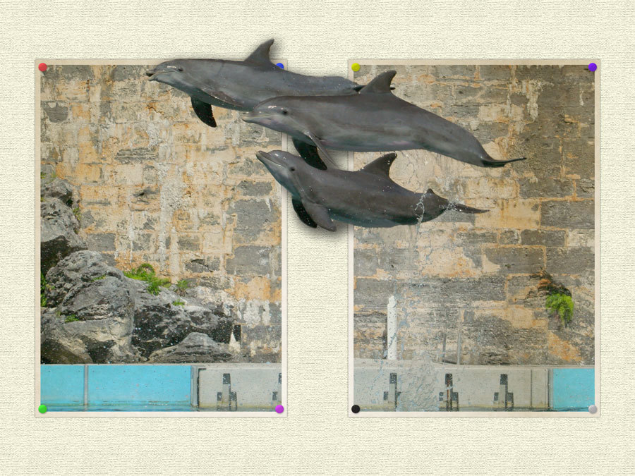 Wall Poster Pop-Out Creator, Add-ons | GraphicRiver