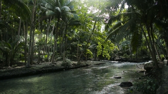 River In The Rainforest In Cebu Philippines, Stock Footage | VideoHive