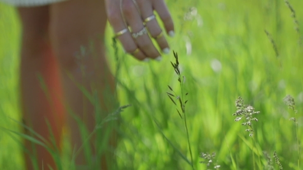 Woman's Hand Caressing Grass , Stock Footage | VideoHive