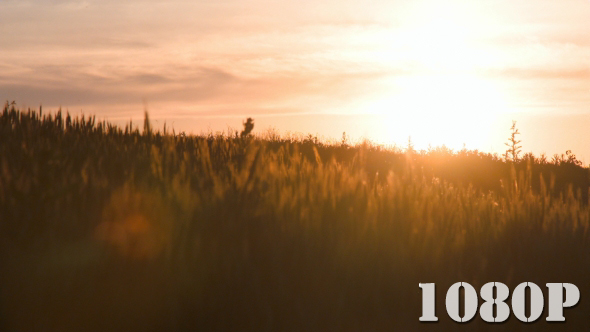 Golden Hour 3, Stock Footage | VideoHive