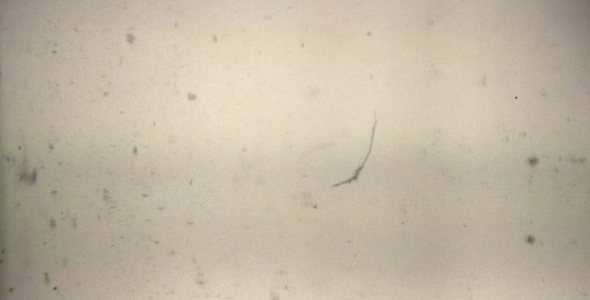 Vintage Old Film Camera Dust And Scratches On Screen 4, Stock Footage