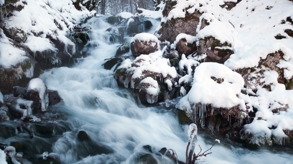 Water In Frozen Stream. Snowy River In Forest In The Winter, Stock Footage