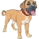 Sketch Dog Boerboel Breed, Vectors | GraphicRiver