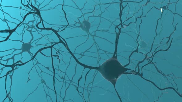 Neuron Cluster Signal Transfer Inside Human Brain, Motion Graphics