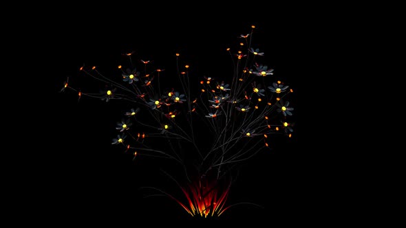 Grow Fire Flowers, Motion Graphics | VideoHive