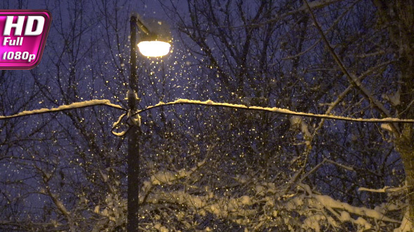 Evening Snowfall in the Park, Stock Footage | VideoHive