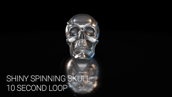 Shiny Skull on Reflective Surface, Motion Graphics | VideoHive