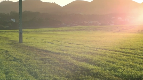 Farm During Sunset, Stock Footage | VideoHive