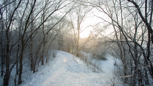 Beautiful Snowy Morning, Stock Footage | VideoHive