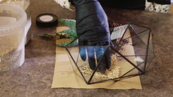 Making Florarium, , Stock Footage | VideoHive