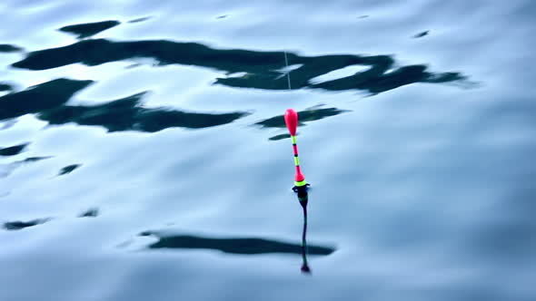 Fishing Bobber on Water, Stock Footage | VideoHive