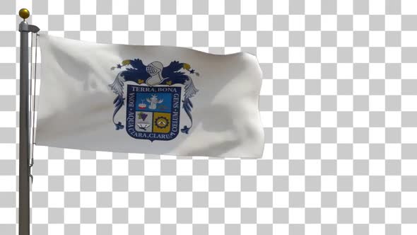 Aguascalientes Flag (Mexico) on Flagpole with Alpha Channel - 4K ...