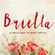Briella, Fonts | GraphicRiver